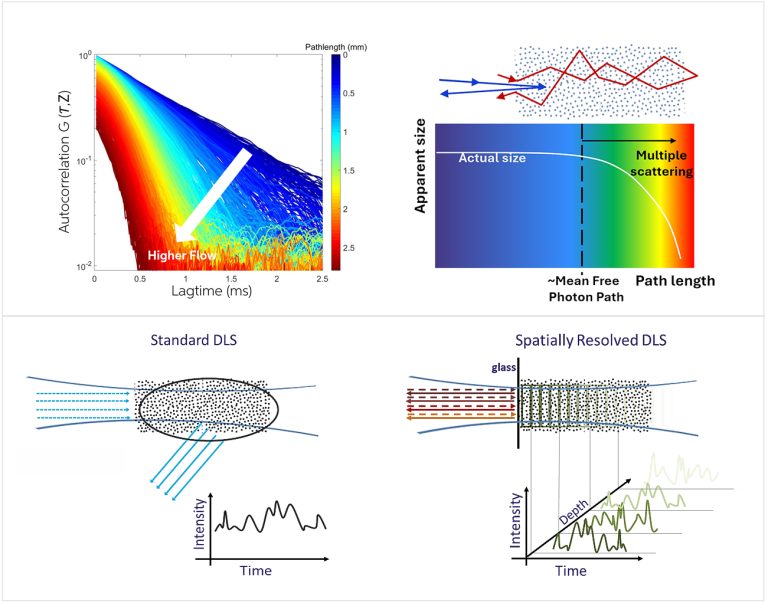 Spatially Resolved Dynamic Light Scattering | Particle Sizing