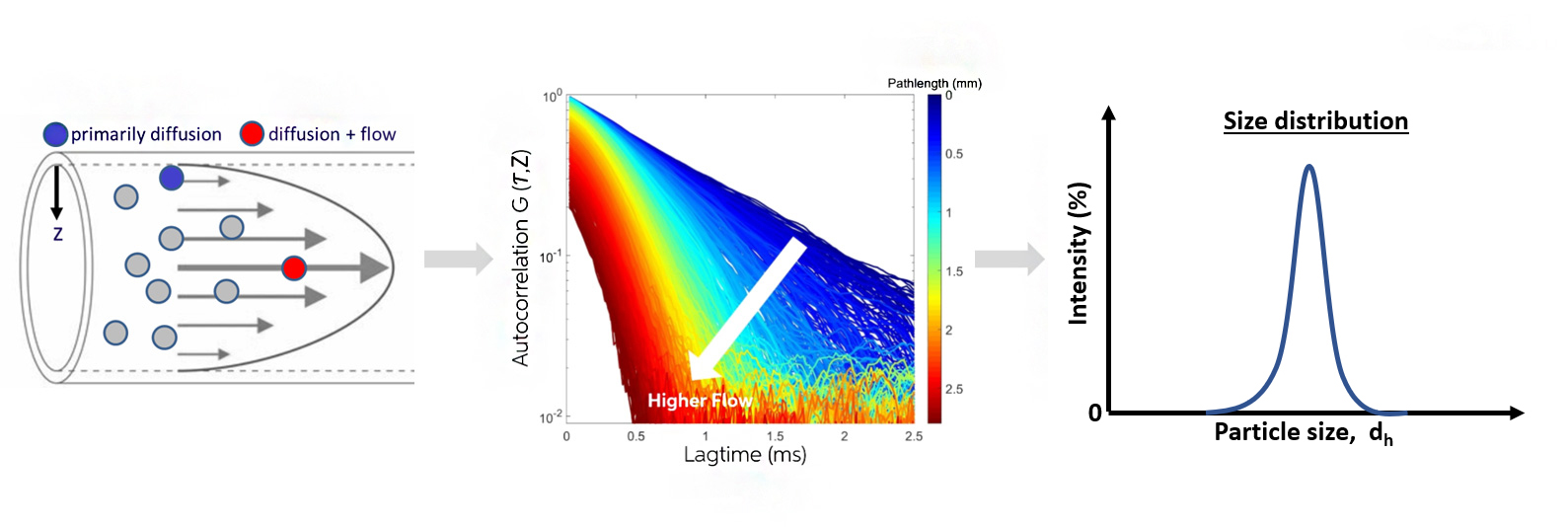 Spatially Resolved Dynamic Light Scattering | Particle Sizing