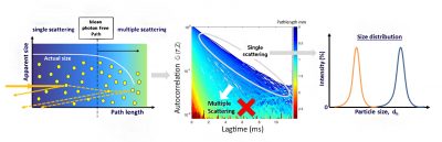 Spatially Resolved Dynamic Light Scattering | Particle Sizing